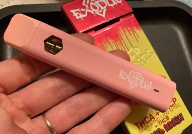 Exodus Review | My Experience with Mushy Vapes, Zooted Gummies & Flower